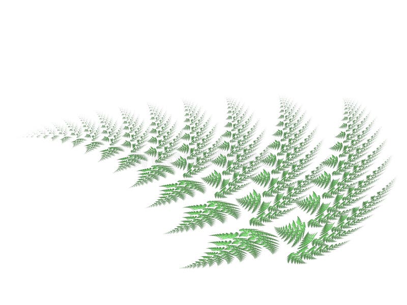 Fern. Abstract stock vector. Illustration of vector, plant - 93223215