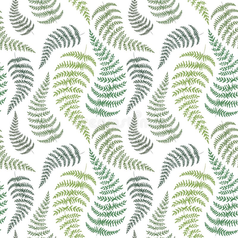 Fern Backdrop. Hand Drawn Seamless Pattern with Sketch Style Fern ...