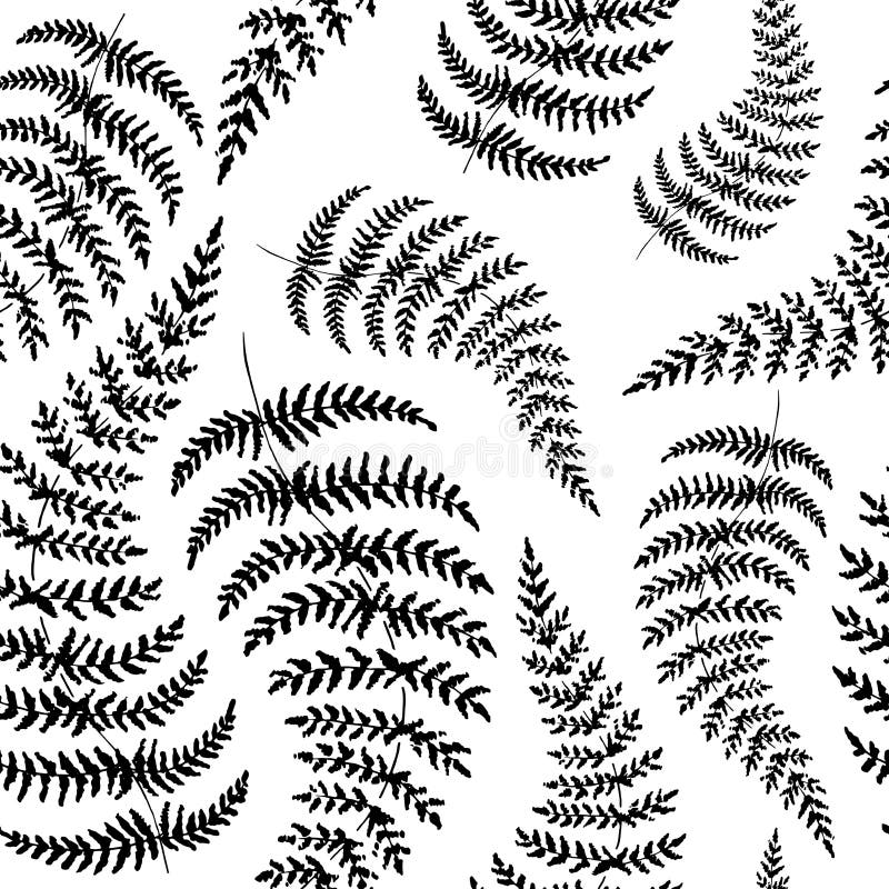 Fern Backdrop. Hand Drawn Seamless Pattern with Sketch Style Fern ...