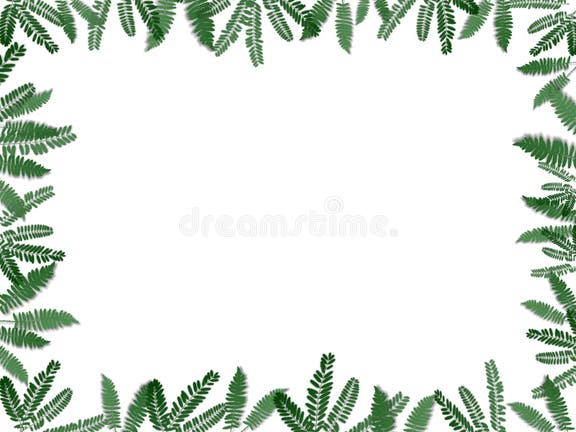 Fern Border Stock Illustrations – 13,023 Fern Border Stock ...