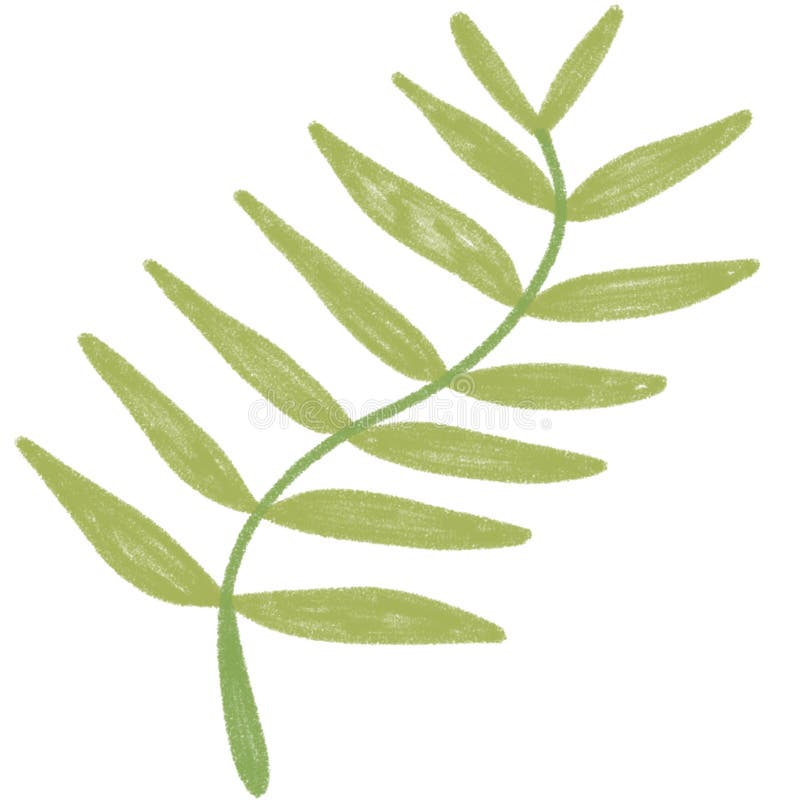 Multiple Elongated Leaflets Stock Illustrations – 5 Multiple Elongated ...