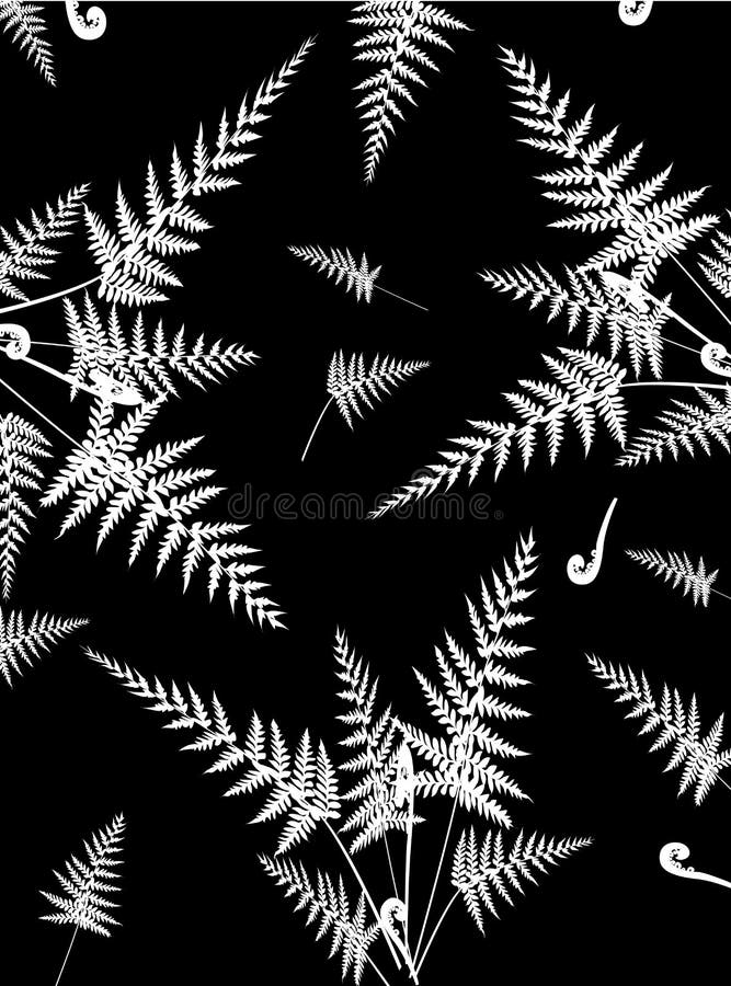 Fern decoration stock illustration. Illustration of painting - 25139437