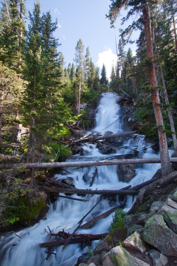 Fern Falls in Rocky Mountains Stock Image - Image of hiking, national ...