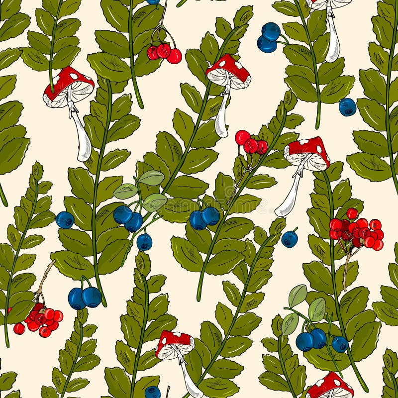 Fern, Fly Agaric and Berries Stock Vector - Illustration of cartoon ...