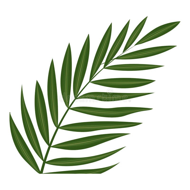Fern leaf icon stock vector. Illustration of plant, sign - 122604362
