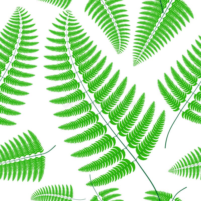 Fern Frond Silhouettes Seamless Pattern. Vector Illustration Stock ...