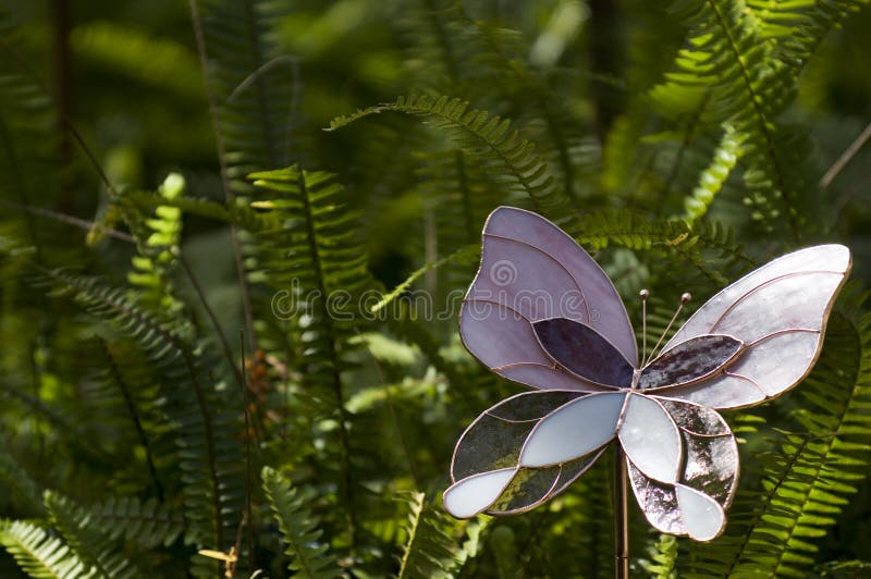 79,476 Fern Garden Stock Photos - Free & Royalty-Free Stock Photos from ...
