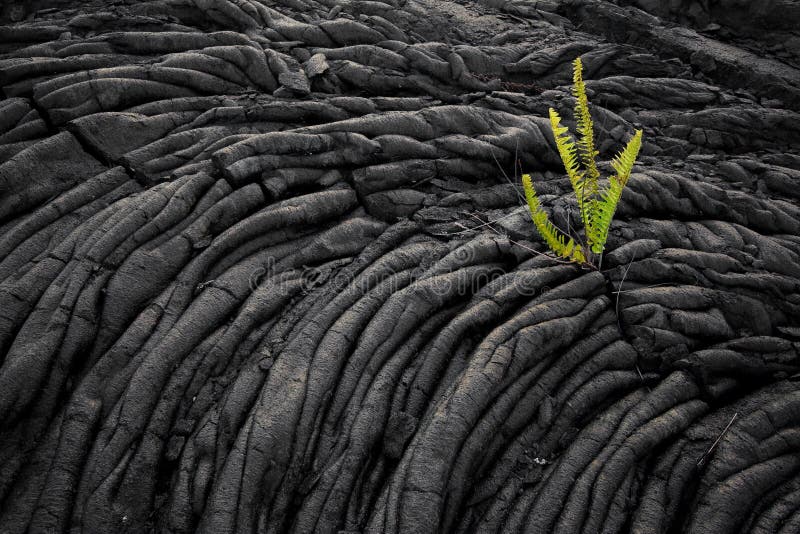 Lava flow 1 stock image. Image of flow, drip, orange, glow - 219413