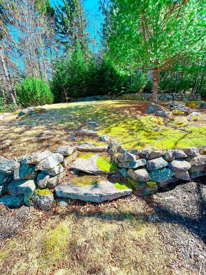 Fern Gully stock photo. Image of gully, steps, fern - 333553930