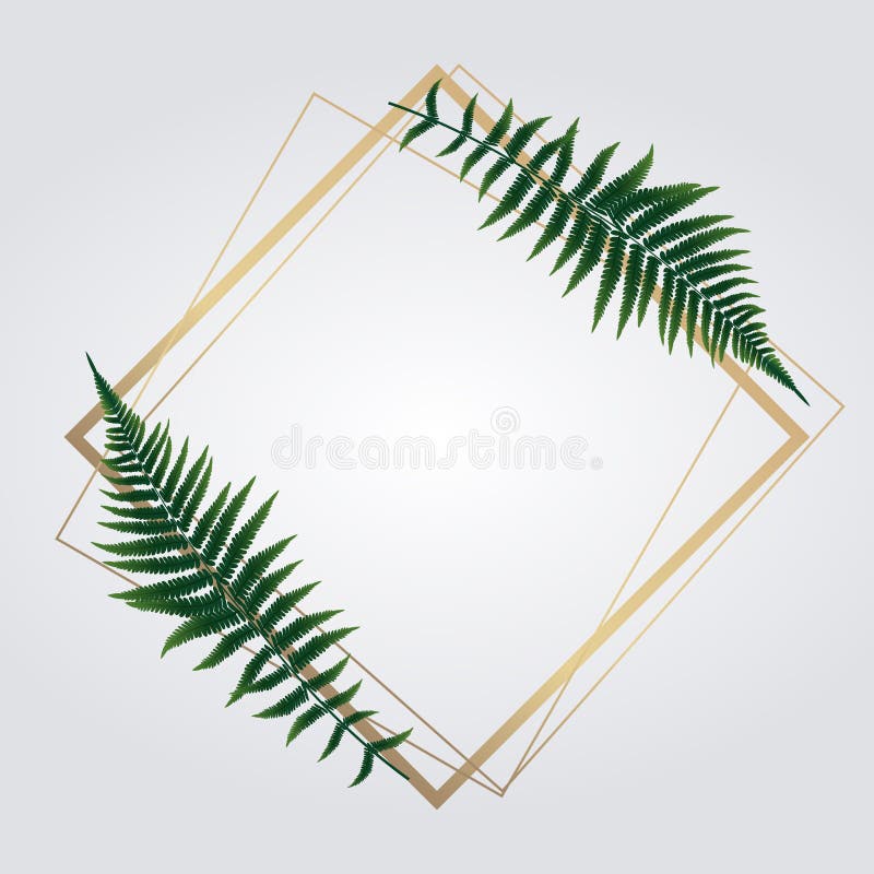Fern Leaf Background with Golden Frame Vector Illustration Stock ...