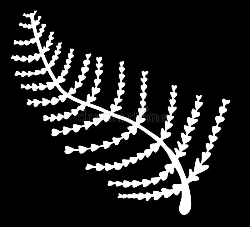 Fern leaf bw stock illustration. Illustration of drawn - 531293