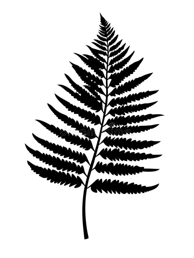 Fern Leaf Silhouette Vector Illustration for Nature Designs and Art ...