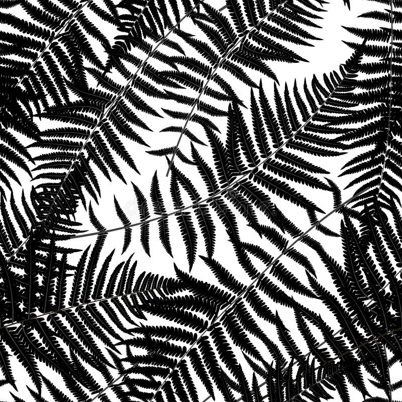 Fern Leaf Vector Fern Leaf Vector Seamless Pattern Background Il Stock ...