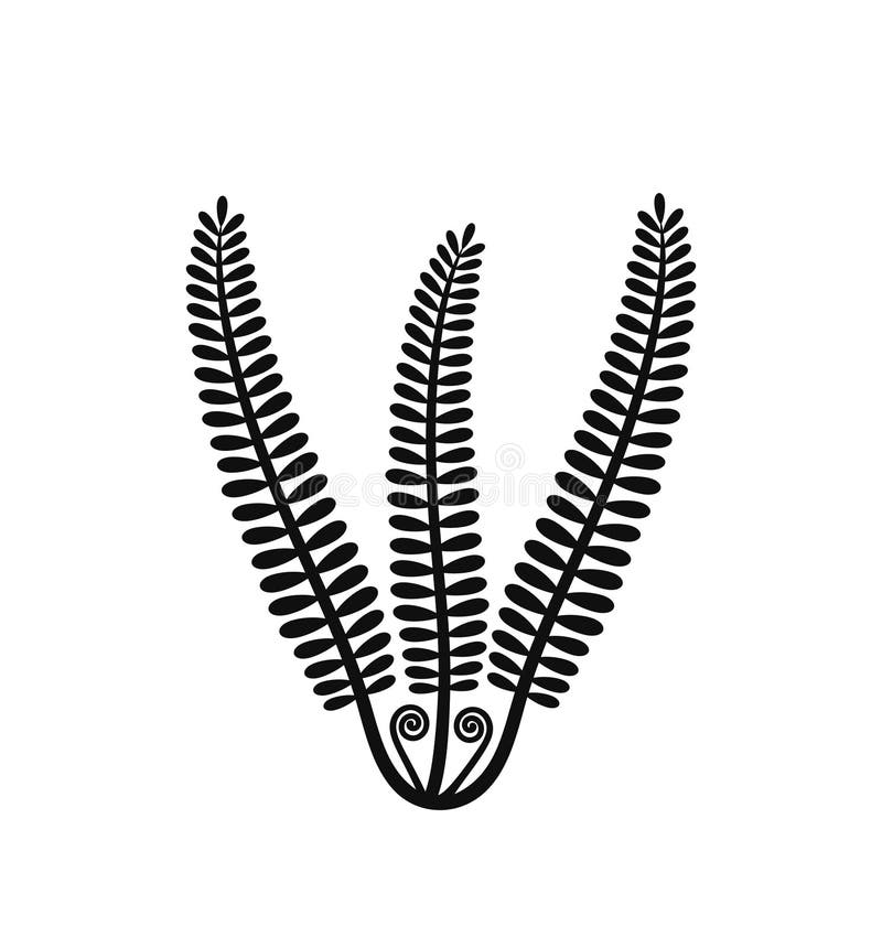 Fern stock vector. Illustration of green, emblem, branch - 51107026