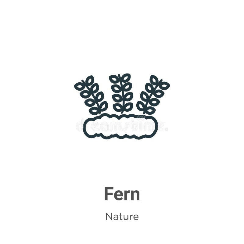 Fern Outline Vector Icon. Thin Line Black Fern Icon, Flat Vector Simple ...