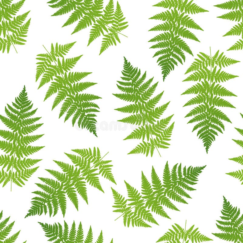 Fern seamless pattern. stock vector. Illustration of frond - 89800972