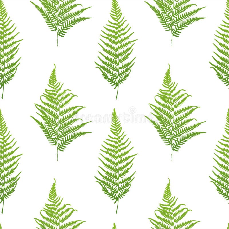 Fern seamless pattern. stock vector. Illustration of seamless - 91180122