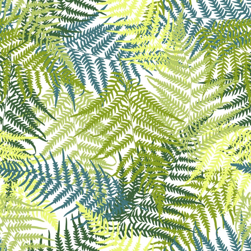 Fern seamless pattern stock vector. Illustration of botanical - 50259519