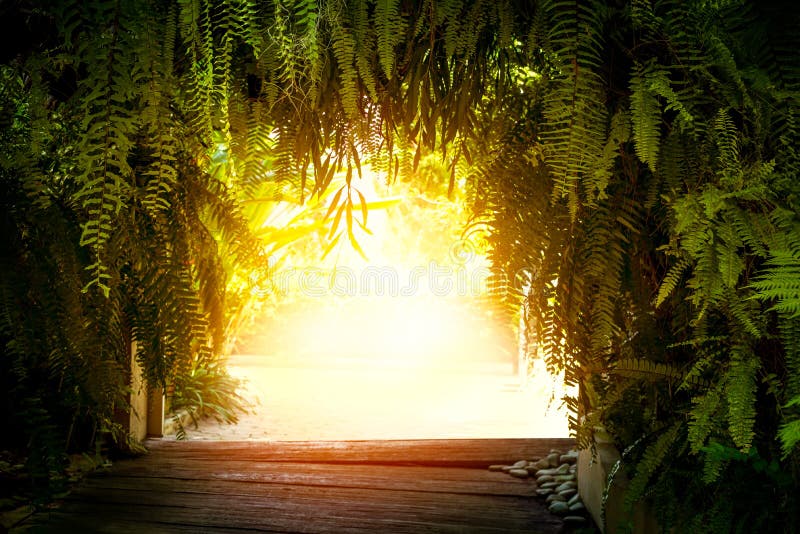 18,050 Natural Tree Arch Stock Photos - Free & Royalty-Free Stock ...