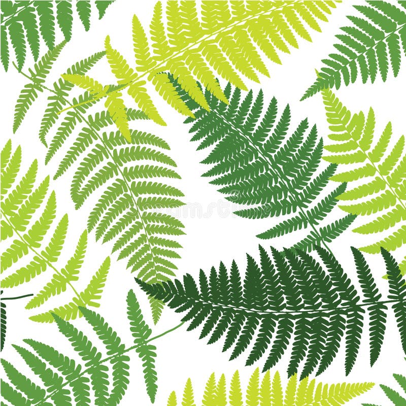 Fern Tropical Seamless Pattern. Stock Vector - Illustration of fall ...