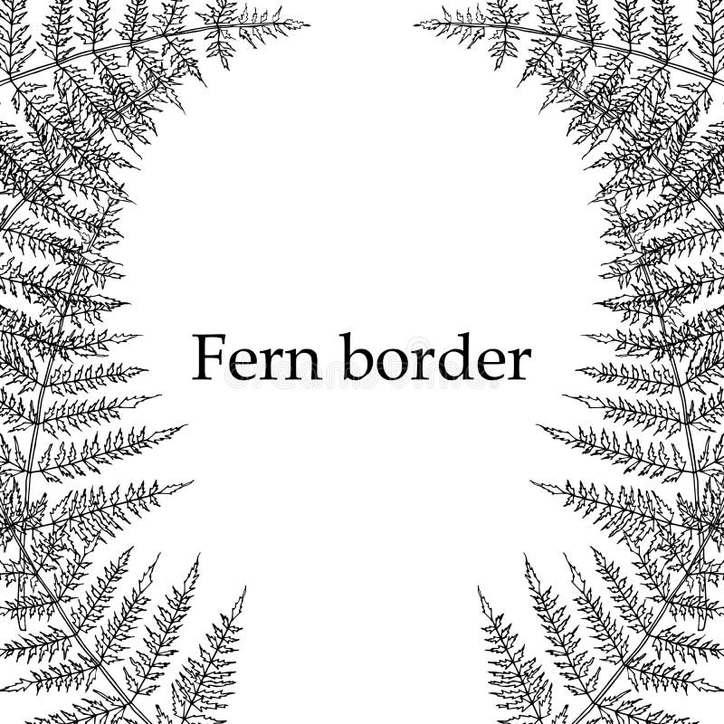 Fern Drawing Frame. Isolated Template. Great for Label, Flyer ...