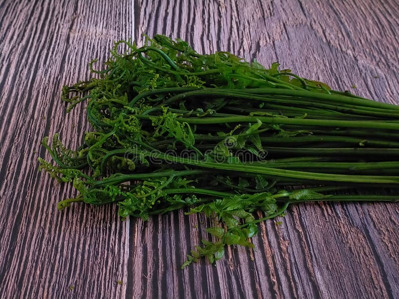 Fern Vegetable on the Table Stock Photo - Image of wood, agriculture ...