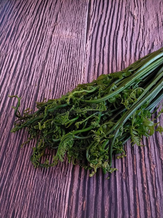 Fern Vegetable on the Table Stock Photo - Image of food, branch: 277786716