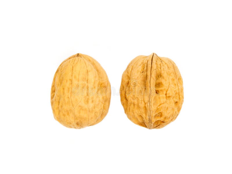 Fernor Walnuts Isolated on White Background Stock Image - Image of ...