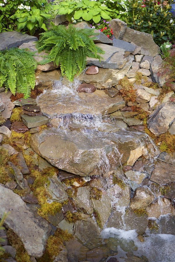 Ferns and Falls stock photo. Image of cliff, stokes - 107683188
