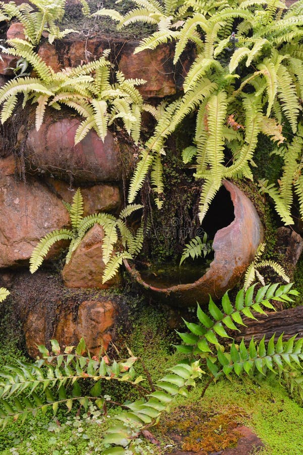 Fernscape stock image. Image of rock, green, rocks, formation - 64691519