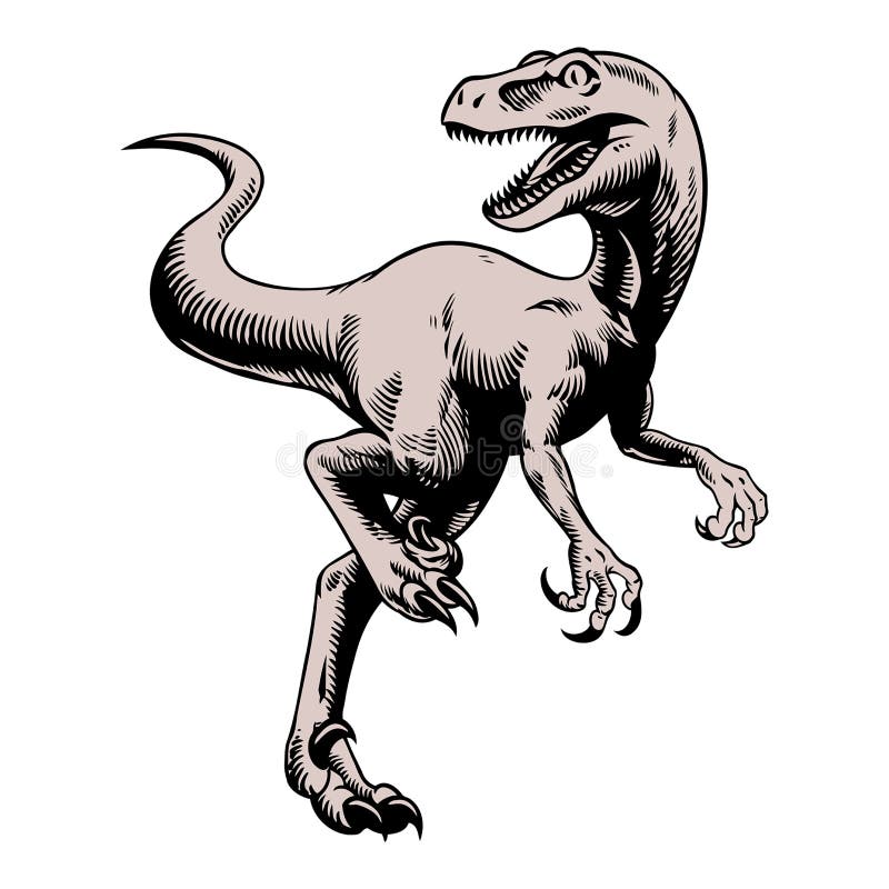 Ferocious Raptor Hand Drawn Illustration in Black and White Stock ...