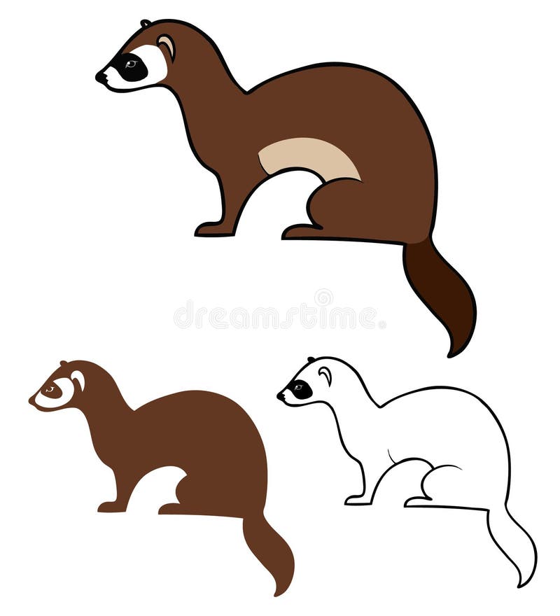 Ferret Stock Illustrations – 11,667 Ferret Stock Illustrations, Vectors ...