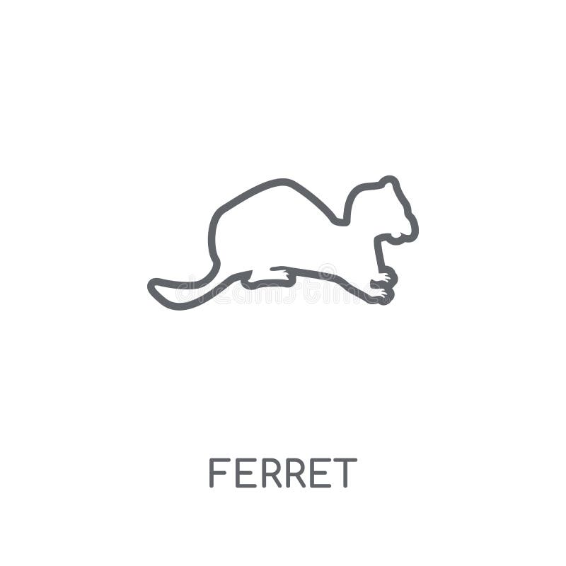 Ferret Linear Icon. Modern Outline Ferret Logo Concept on White Stock ...