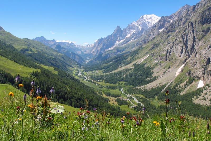 Ferret Valley and Mont Blanc Panoramic View Stock Image - Image of ...