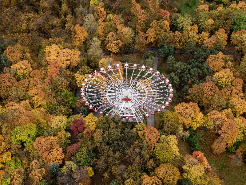 Ferris Wheel in Autumn Forest. Top View. Stock Image - Image of county ...