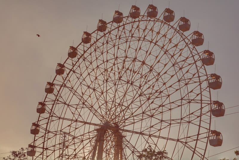 Ferris wheel and bird stock image. Image of cool, wheel - 144875903