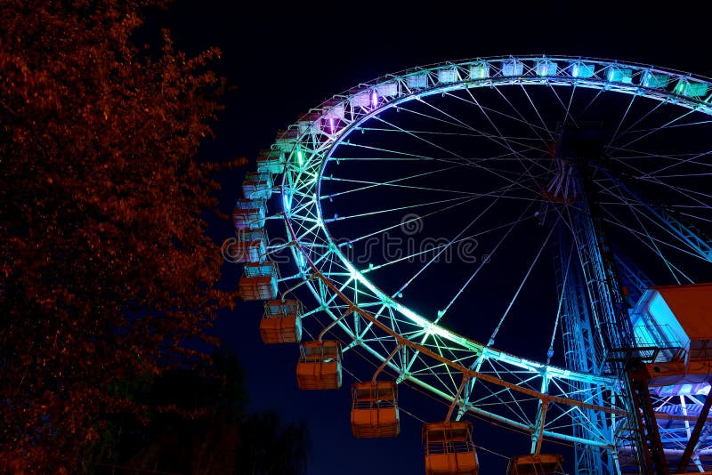 Ferris Wheel with Blue Lighting and Trees at Night Stock Image - Image ...