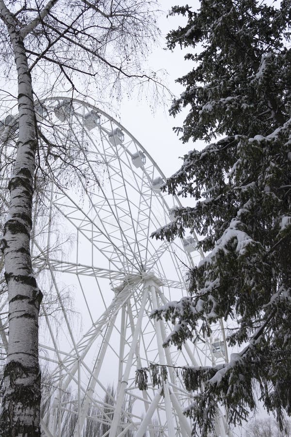 Ferris Wheel in Gagarin Park in the City of Samara Stock Image - Image ...