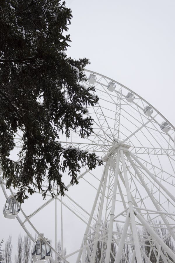 Ferris Wheel in Gagarin Park in the City of Samara Stock Photo - Image ...