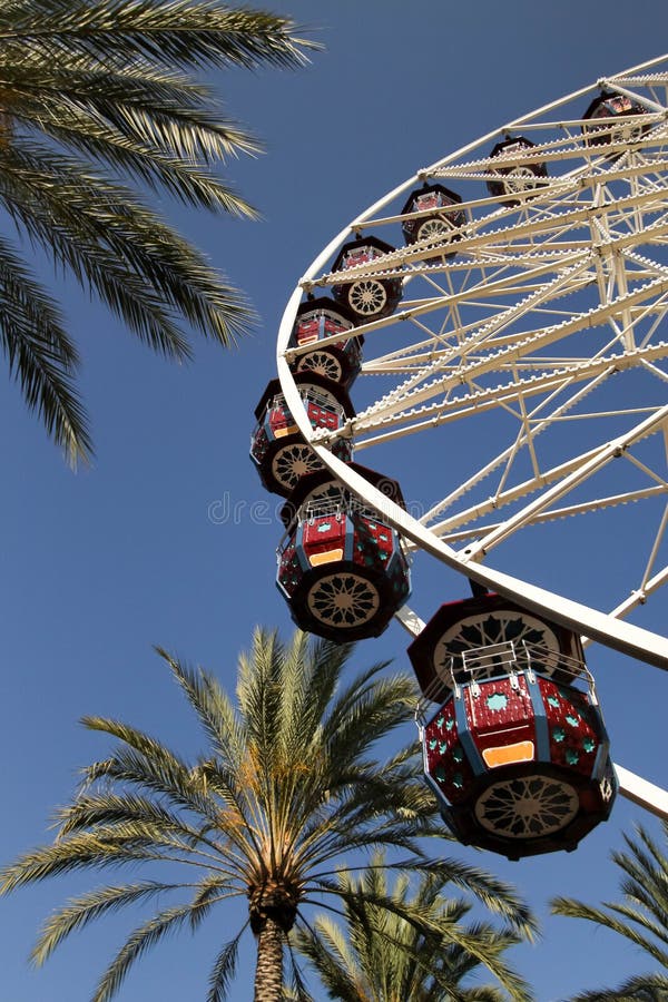 Ferris Wheel and Palm Trees Stock Photo - Image of palm, wheel: 78237182