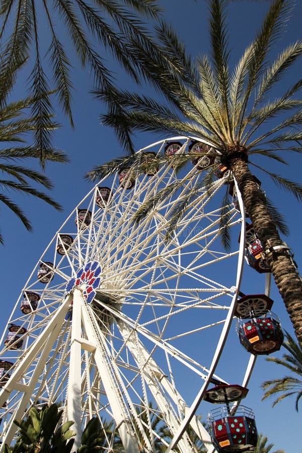 Ferris Wheel Surrounded by Palm Trees Stock Photo - Image of wheel ...
