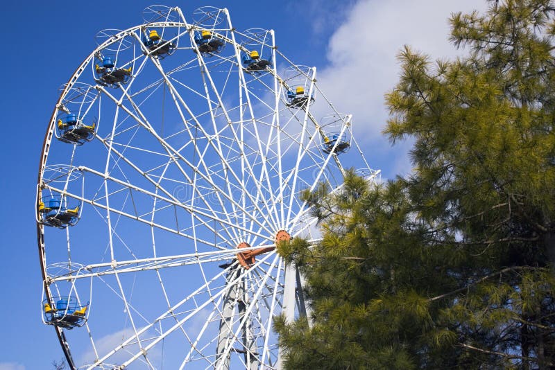Ferris wheel and the tree stock photo. Image of outdoor - 23511204