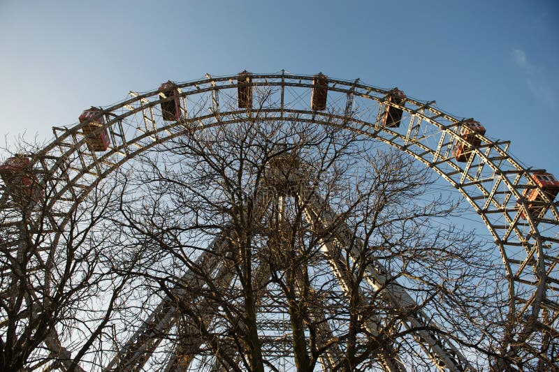 Ferris Wheel and a Tree on a Sunny Day at Vienna, Austria Stock Image ...