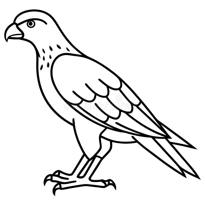 Ferruginous Hawk Bird Walks Icon Vector Stock Vector - Illustration of ...
