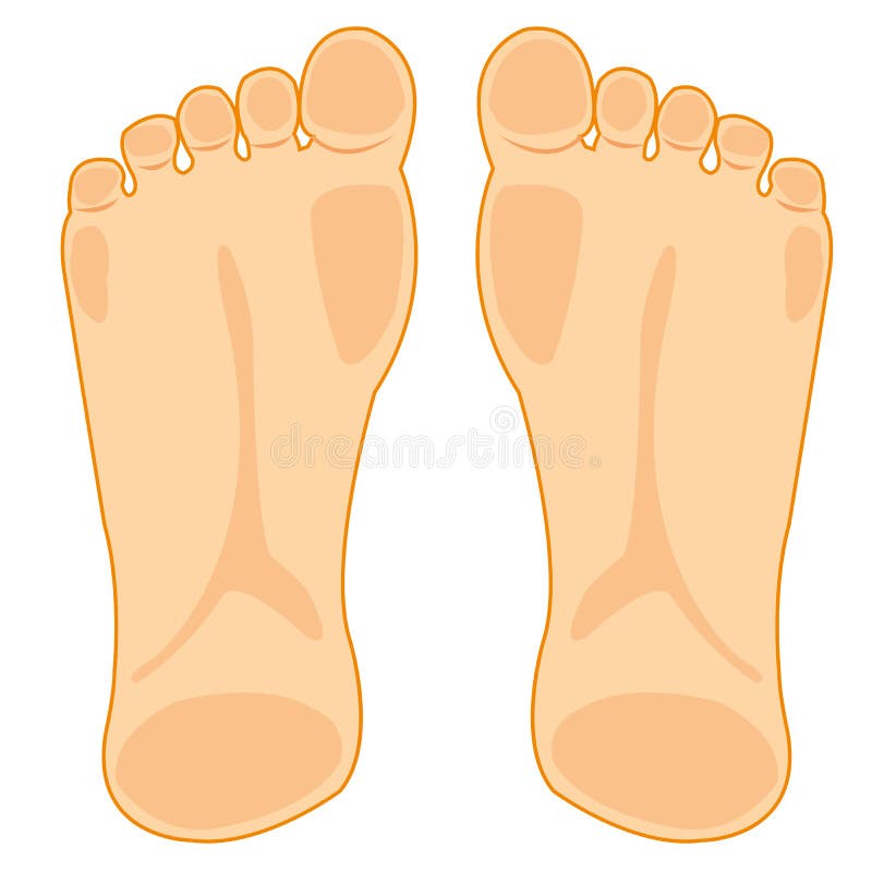 Fersen der Person stock abbildung. Illustration von beschaffenheit ...