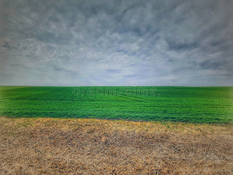 Flat land Vojvodina stock photo. Image of serbiavojvodina - 304853396