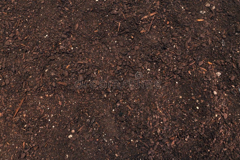 Fertile Gardening Soil Top View Stock Image - Image of horticulture ...