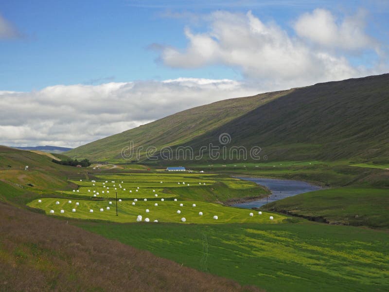 Fertile River Valley with Lush Grass, Straw Bale and Farm Stock Image ...