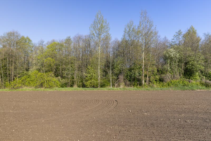 Fertile Soil in Spring during the Preparation Stock Photo - Image of ...