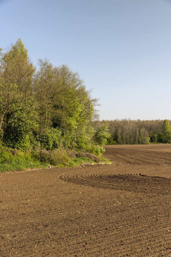 Fertile Soil in Spring during the Preparation Stock Photo - Image of ...